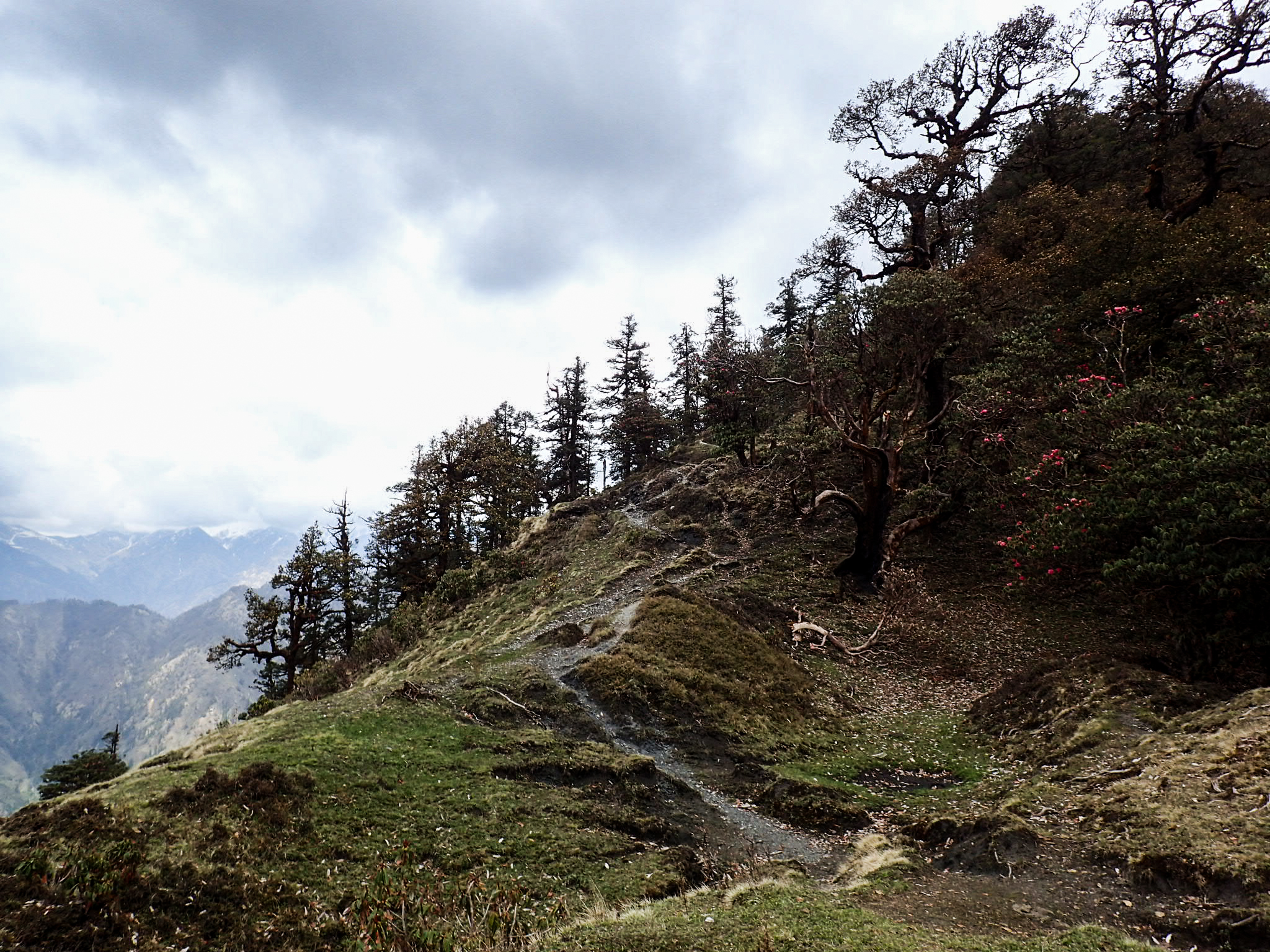 09: Finding Home on the Trail – Dolam, India – A Wandering Vagabond